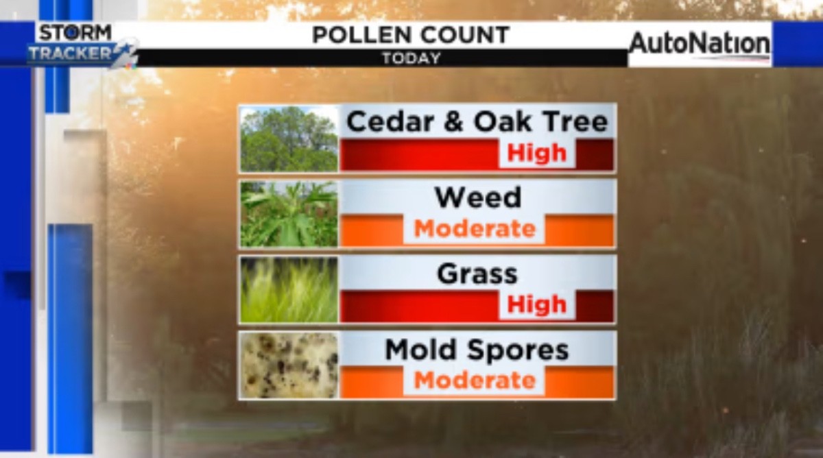 Houston's pollen predicament: Cedar, oak, birch, oh my! Battling