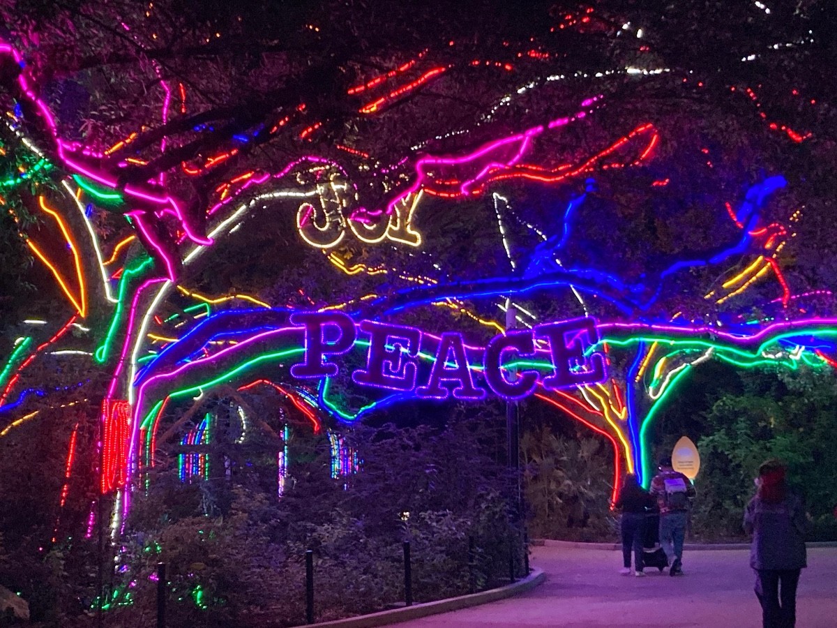 Houston Zoo Lights
