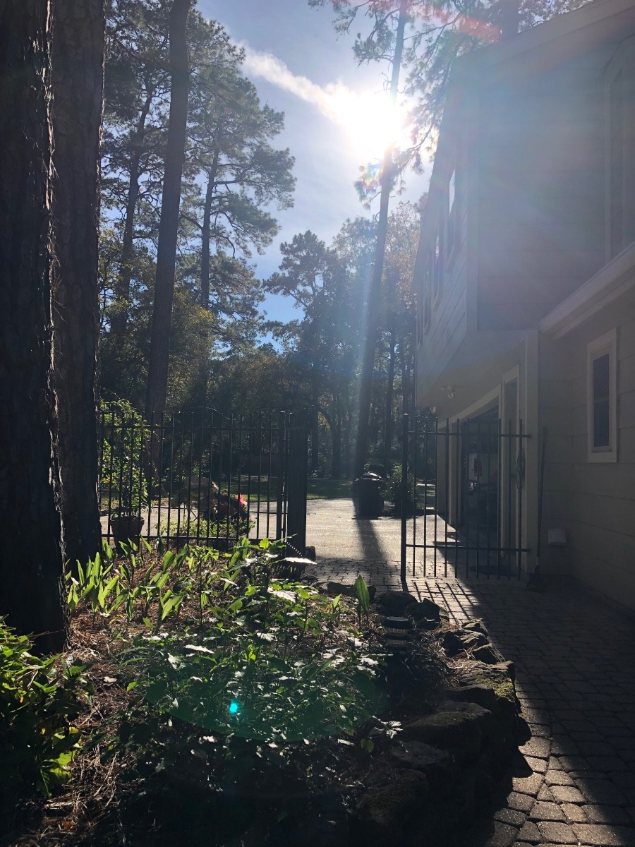 Another great afternoon