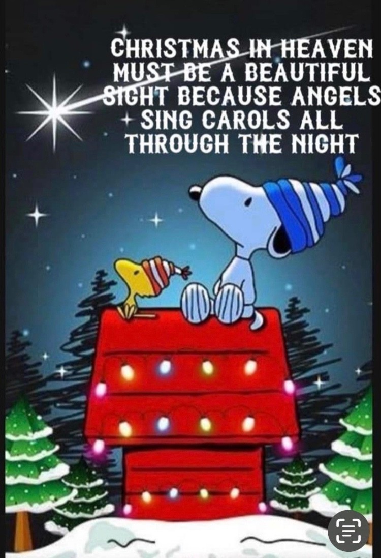 A Snoopy good night! Have a wonderfully restful night.