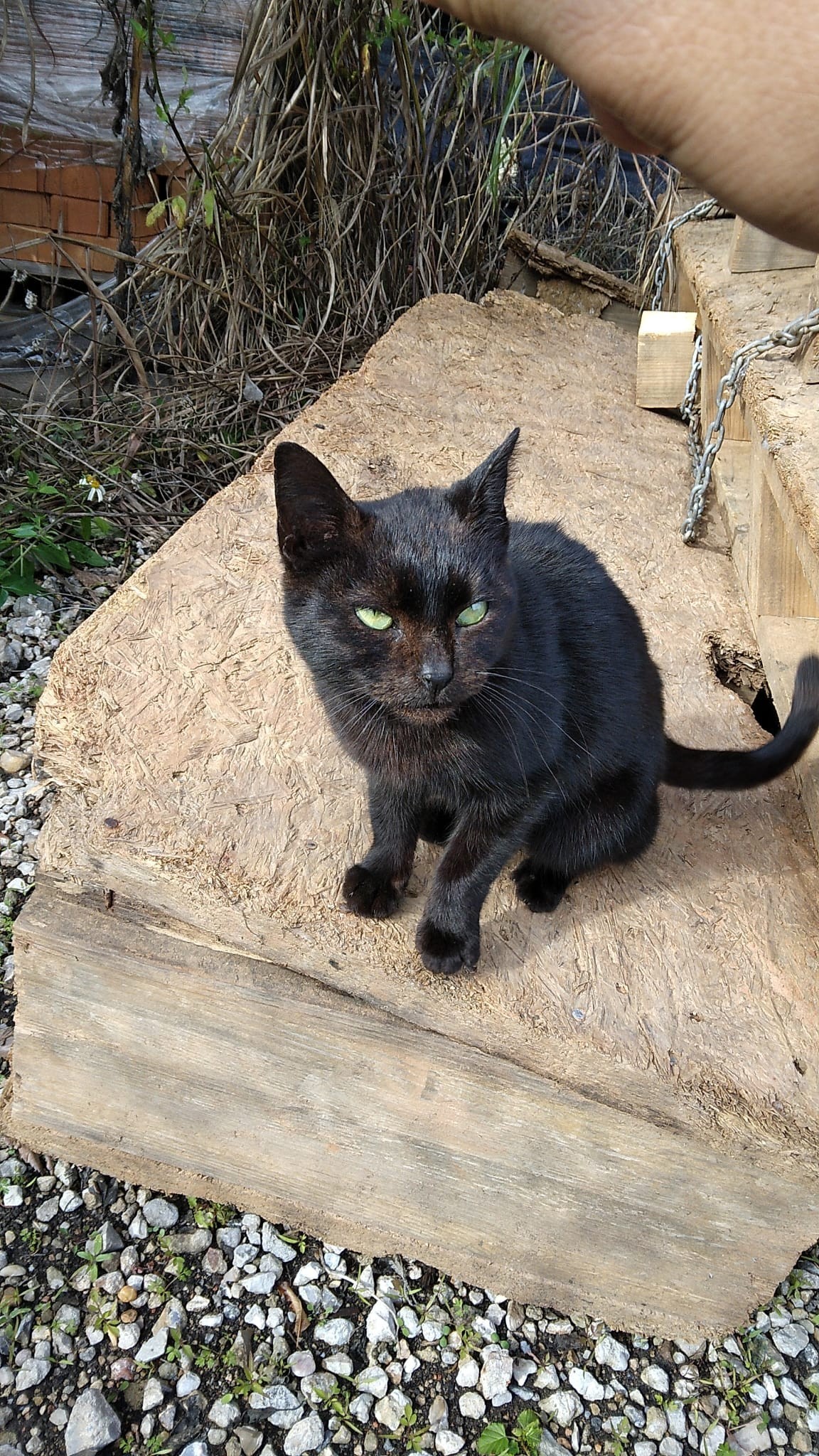 Texas Litter Control costs