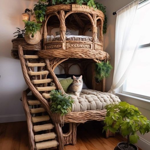 What a cat house!