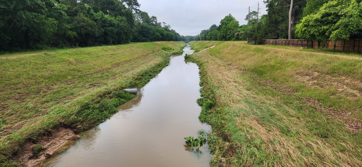 Turtle Bridge by Foster