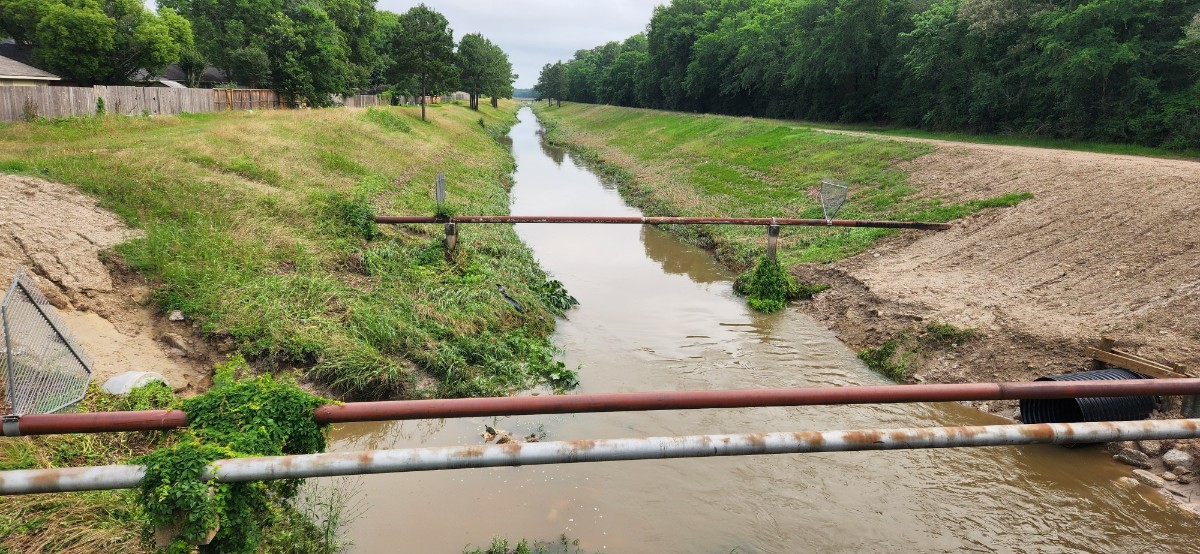 Turtle Bridge by Foster