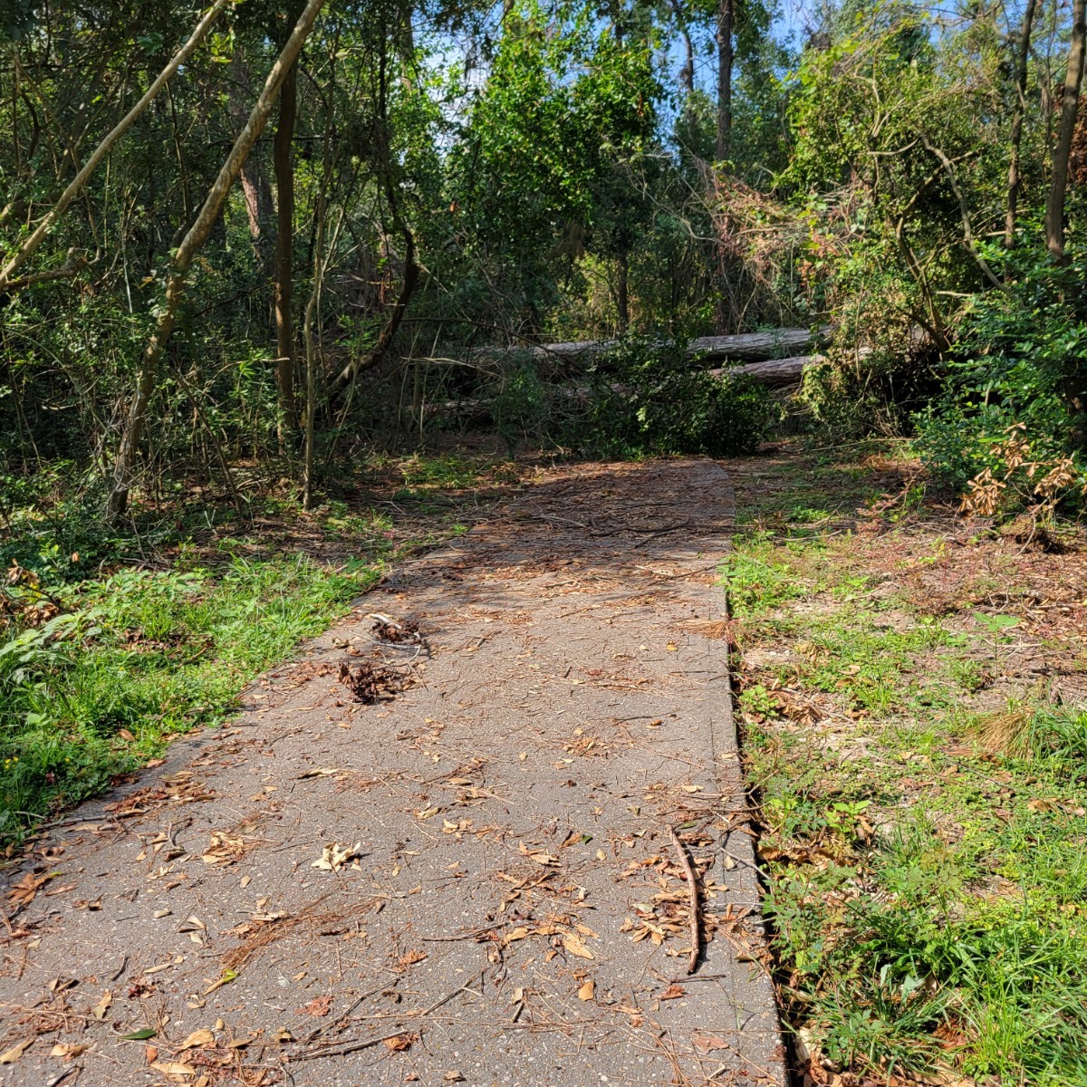 I was curious how far we could get on the trail between oak Shor