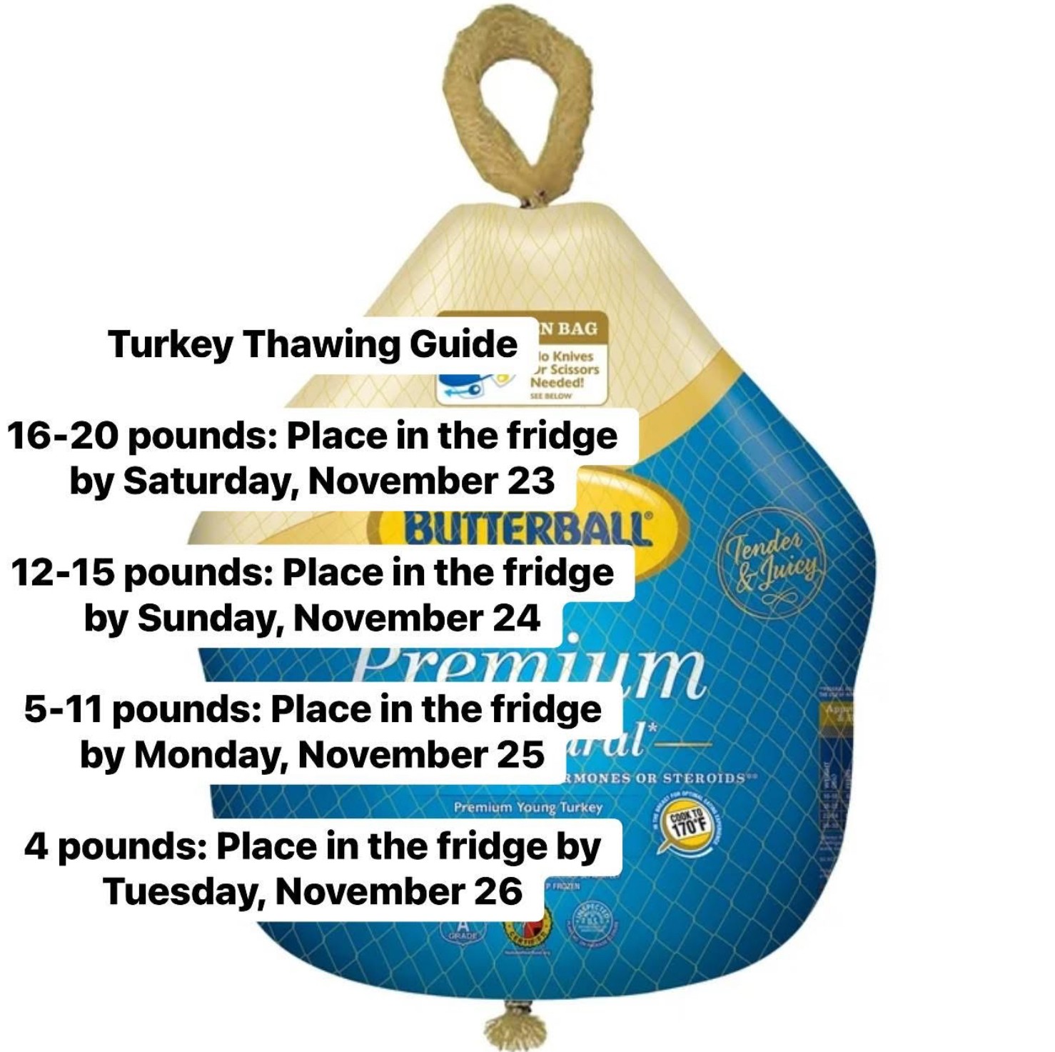 Turkey thawing guide for those cooking a turkey for Thanksgiving