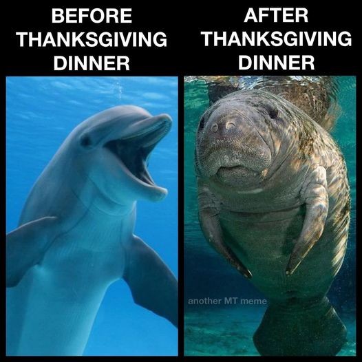 Thanksgiving before and after pictures!