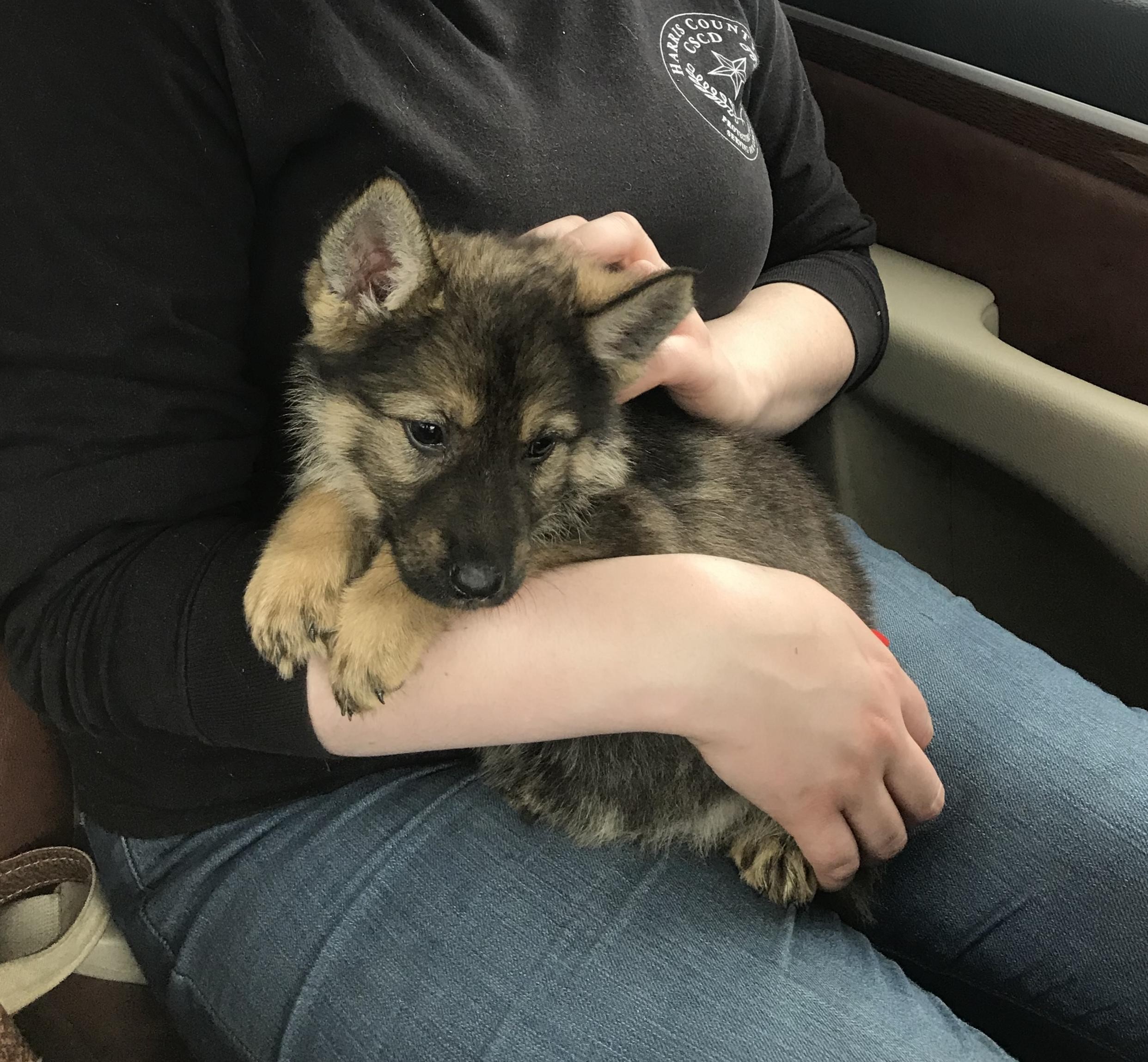 We had an unexpected Thanksgiving Blessing, Christmas and a new