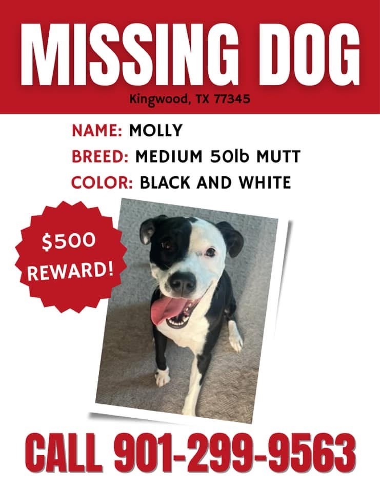 Reward for lost family member. There has only been one sighting