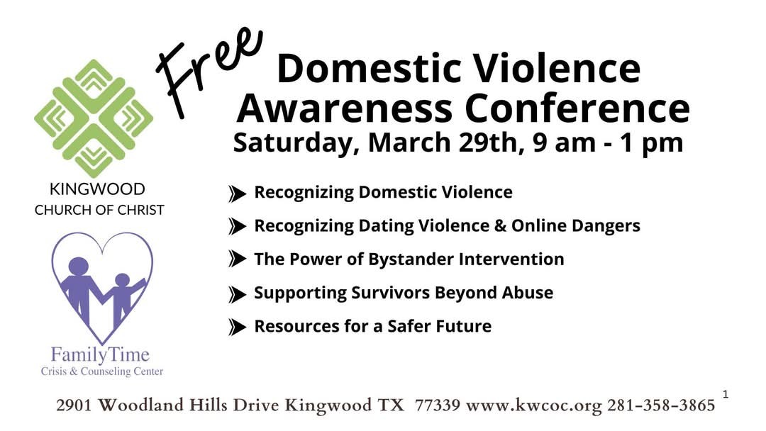 Domestic Violence Conference