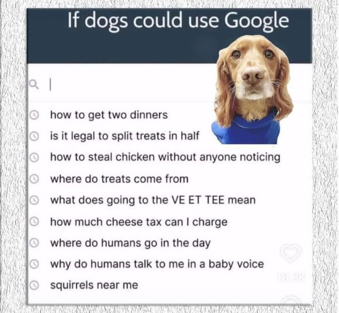 Dogs and Google