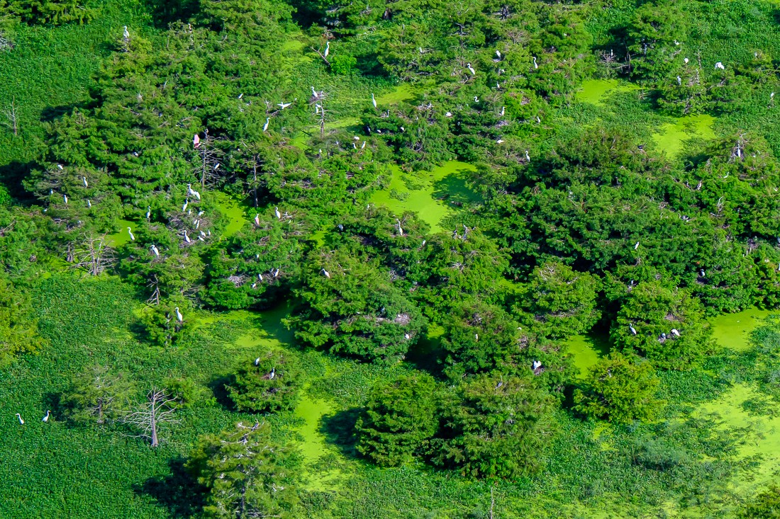 A change in a the federal definition of Waters of the U.S. would