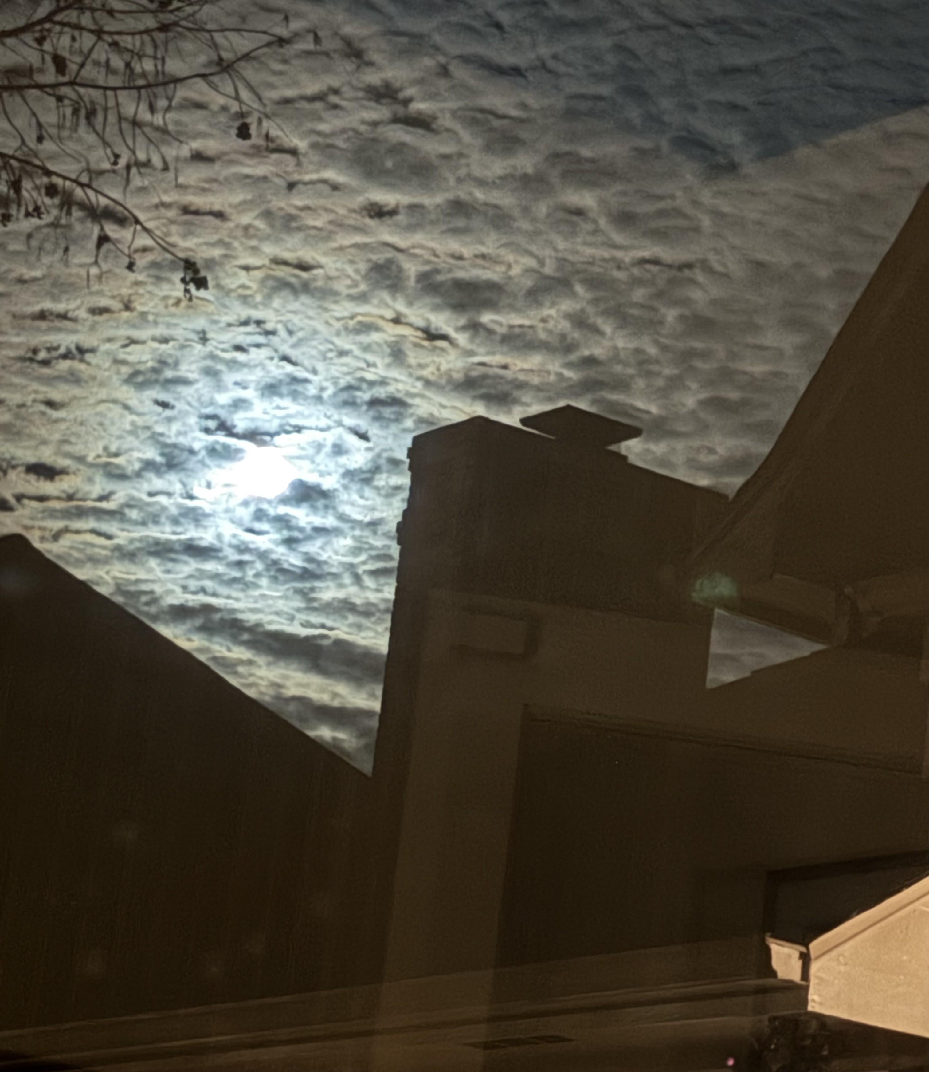 The view outside my sunroom window, mesmerizing