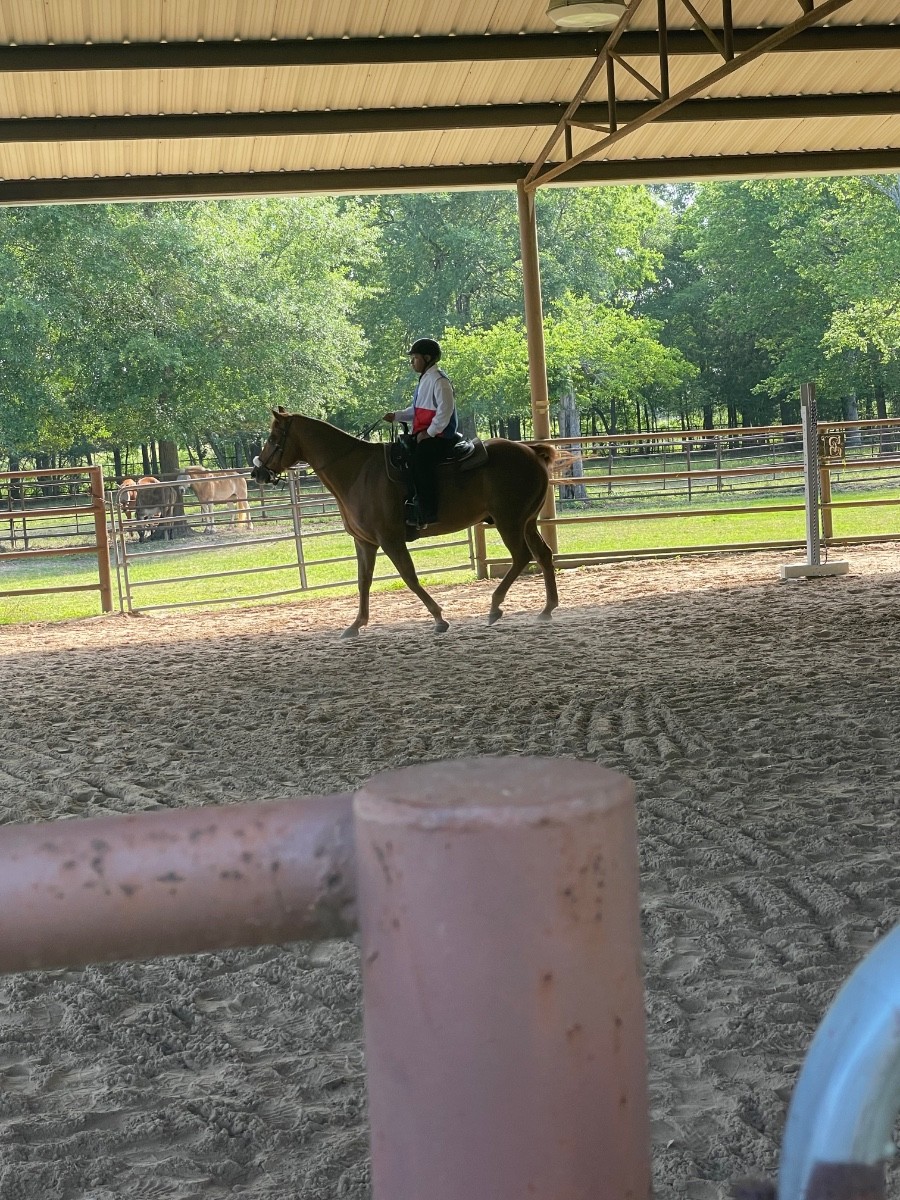 Today's Special Olympics Equestrian