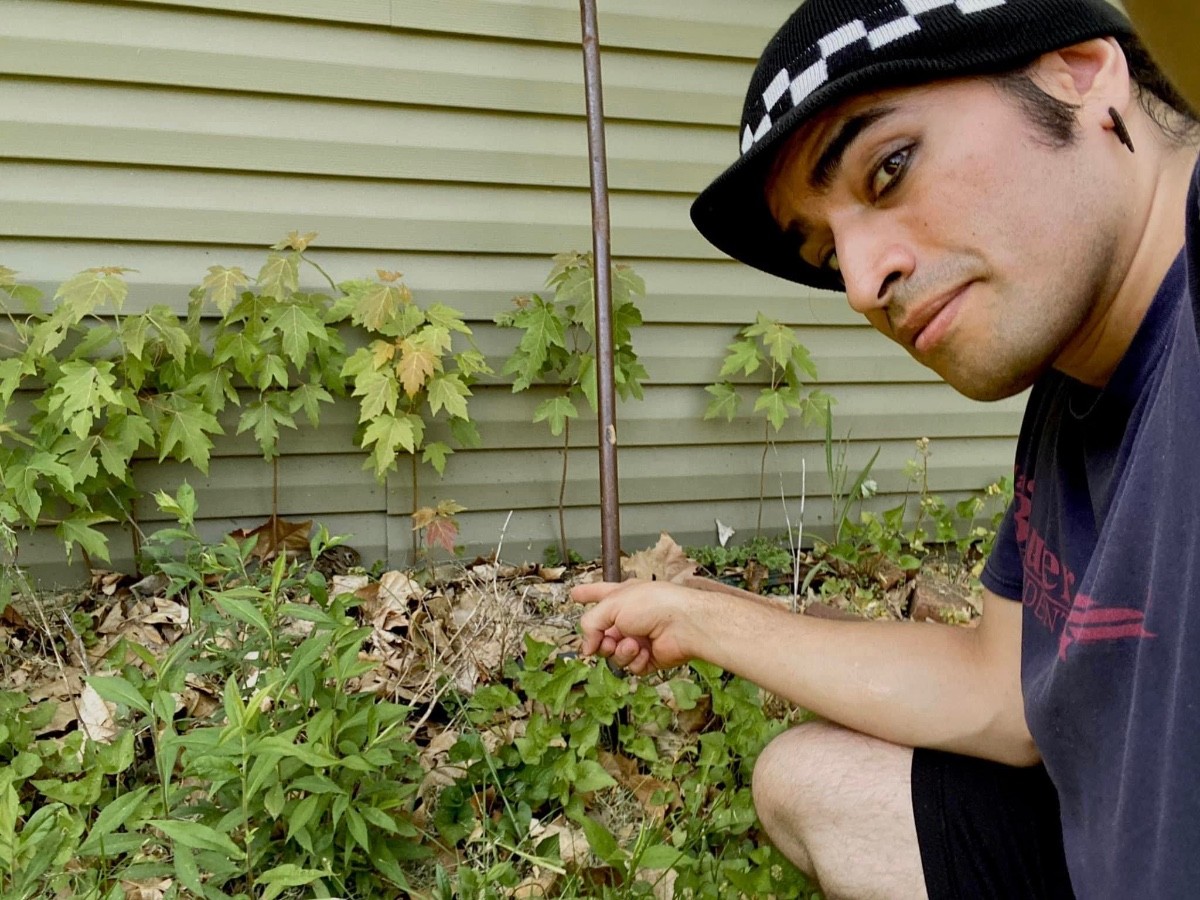 Introverts in the wild