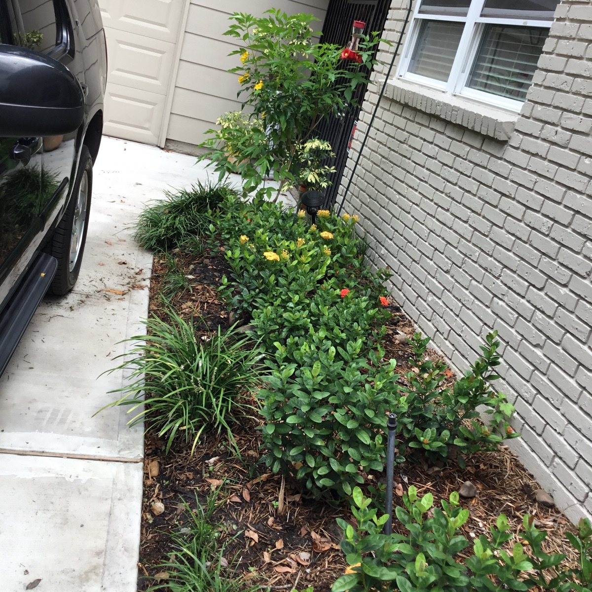 One side of house is all done now