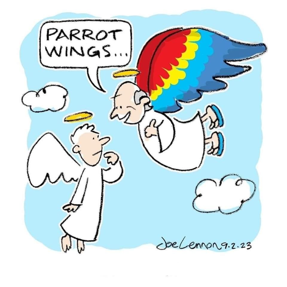 Cute Jimmy Buffett cartoon