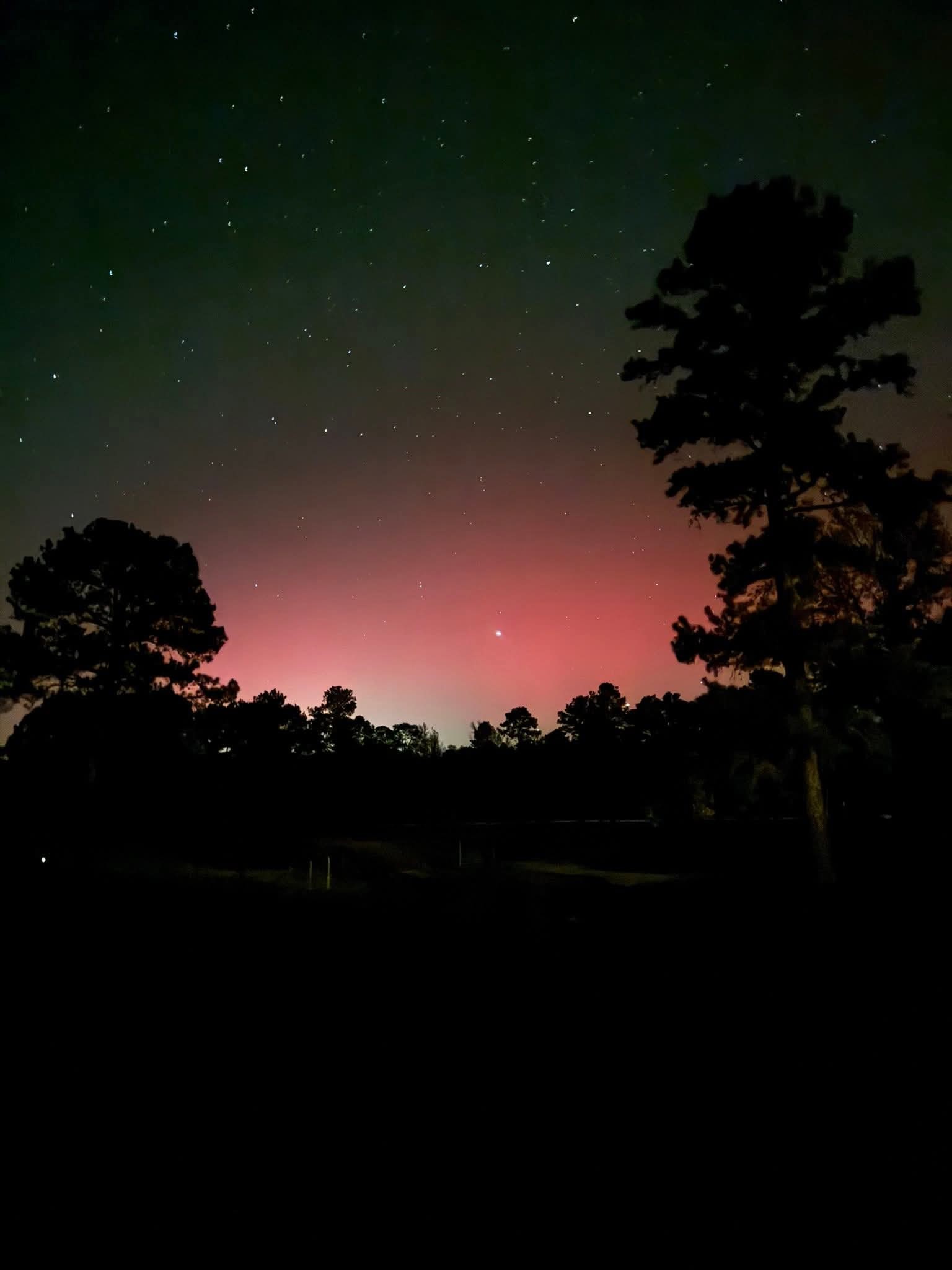 Northern Lights pics