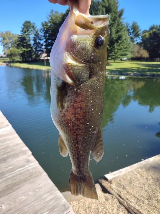 Great day of fishing