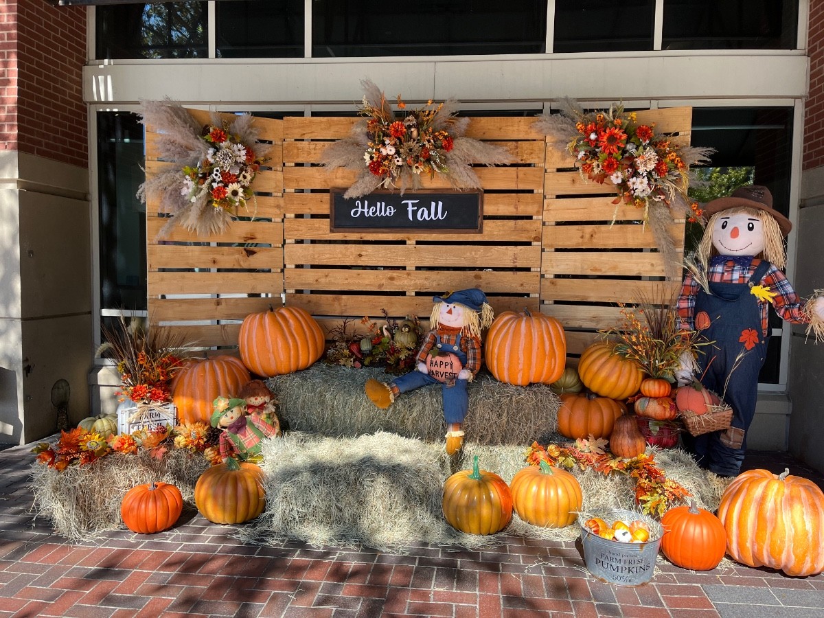 Hello Fall photo op at Sugar Land Town Square