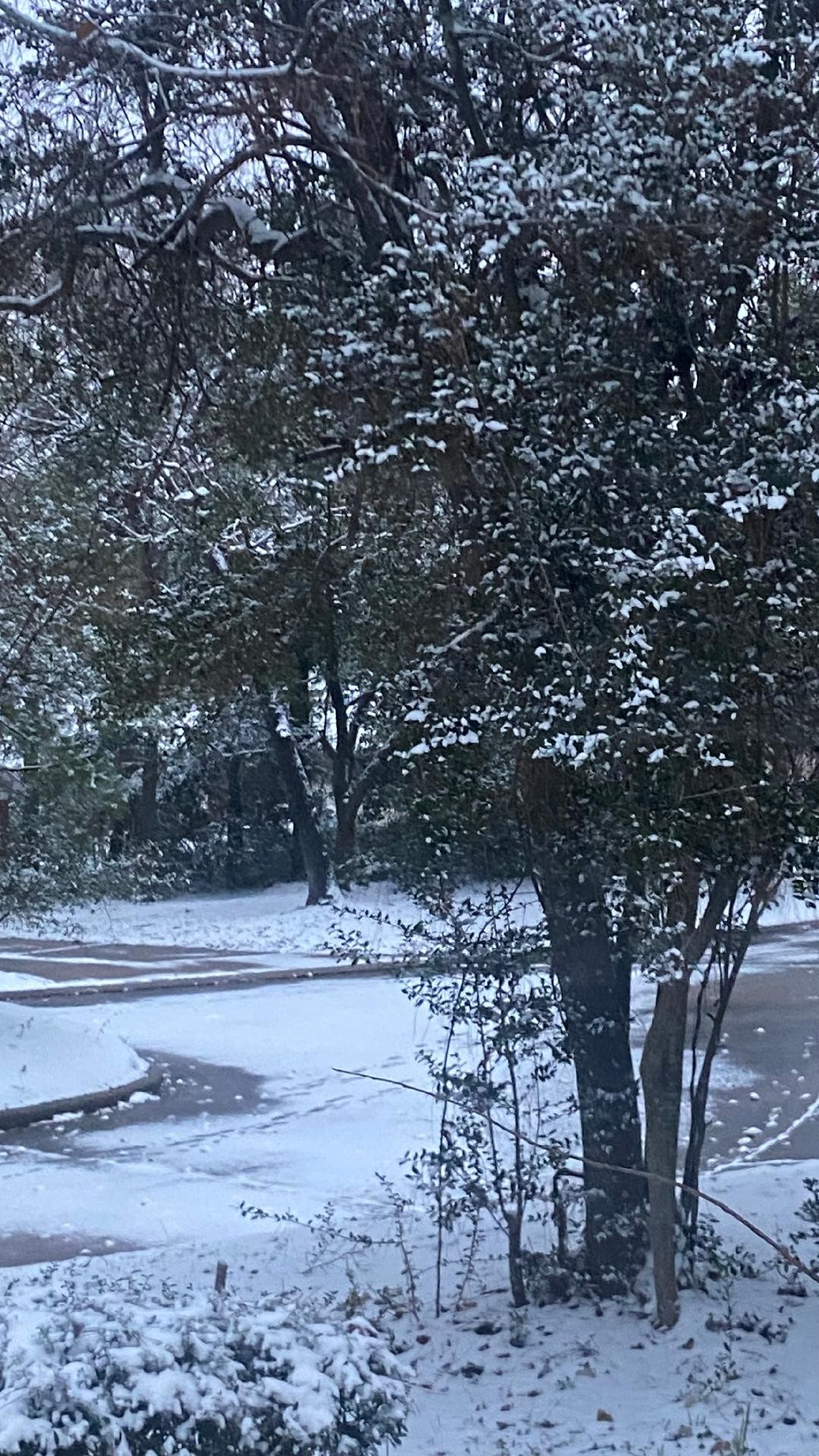 SNOW DAY January 21, 2025, yayyy!!!!!