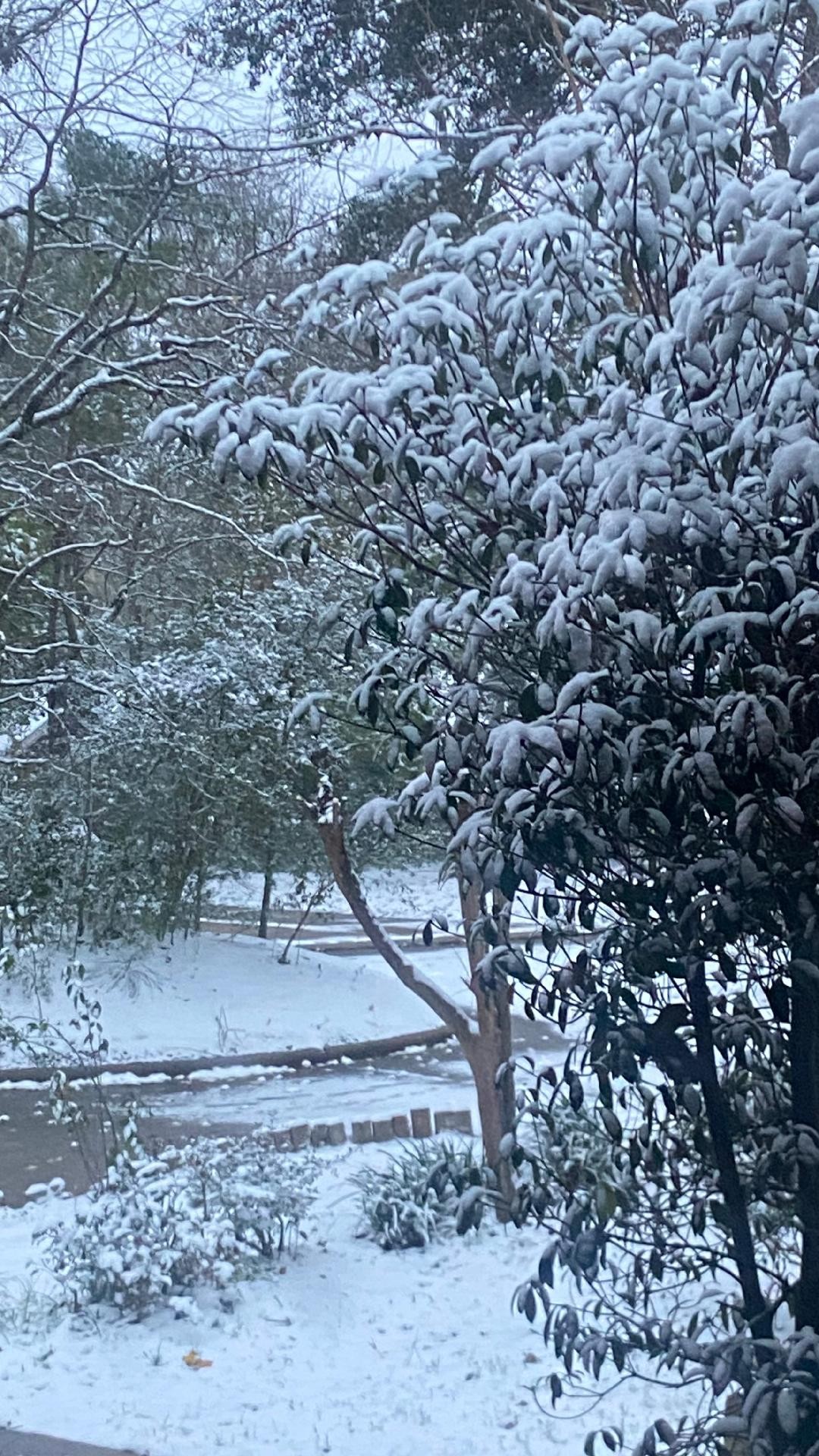 SNOW DAY January 21, 2025, yayyy!!!!!