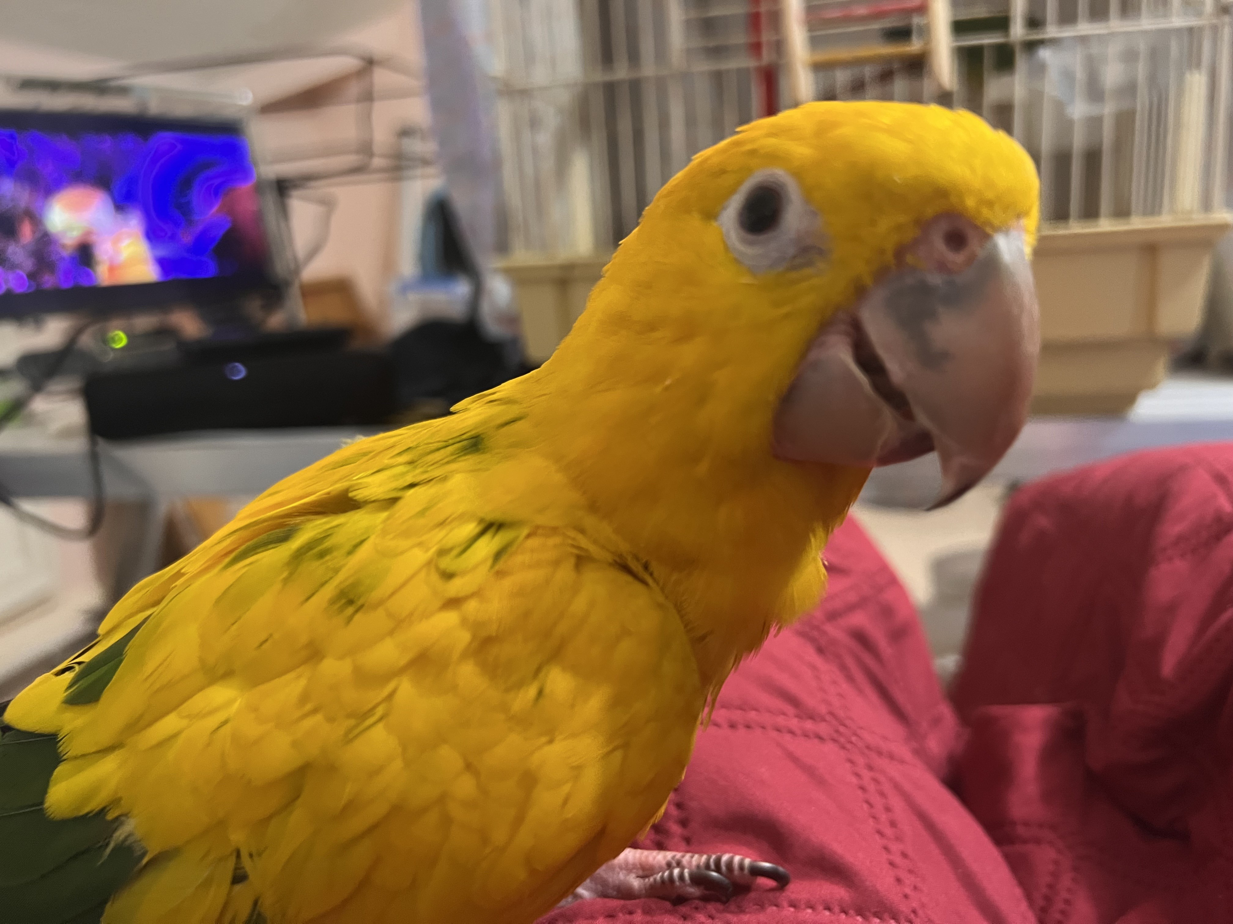 Hello! My name is Giles.